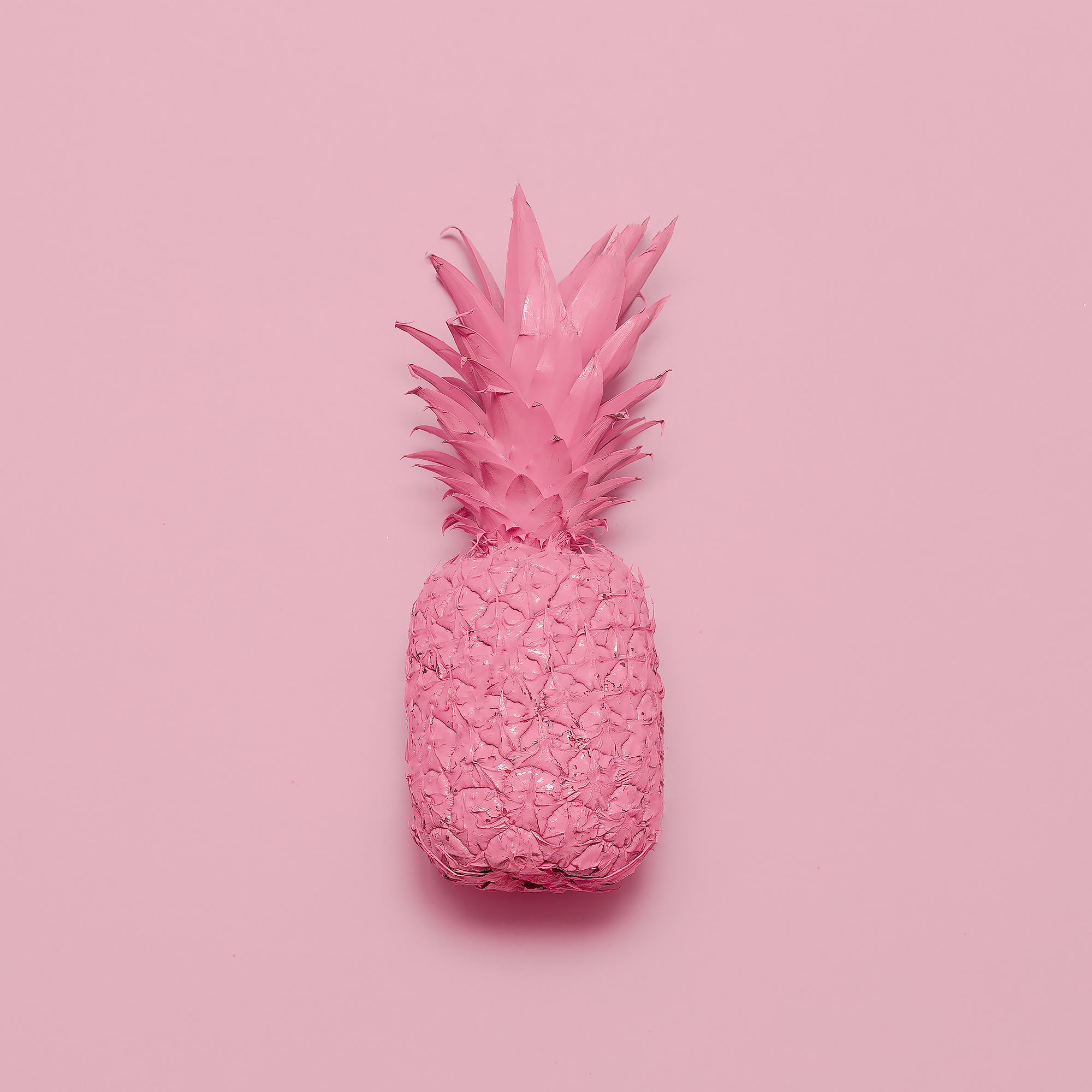 Pink pineapple on a pink background. Surreal minimal art | Envision ...