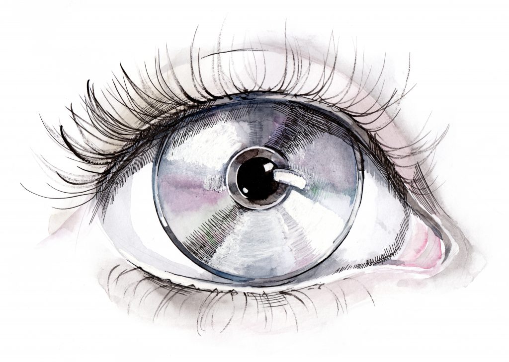 cd eye | Envision your Evolution