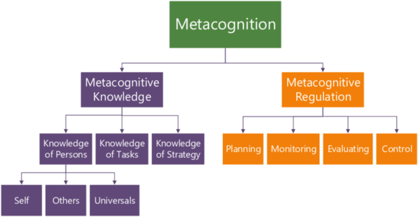 The Science Of Metacognition How Your Brain Learns